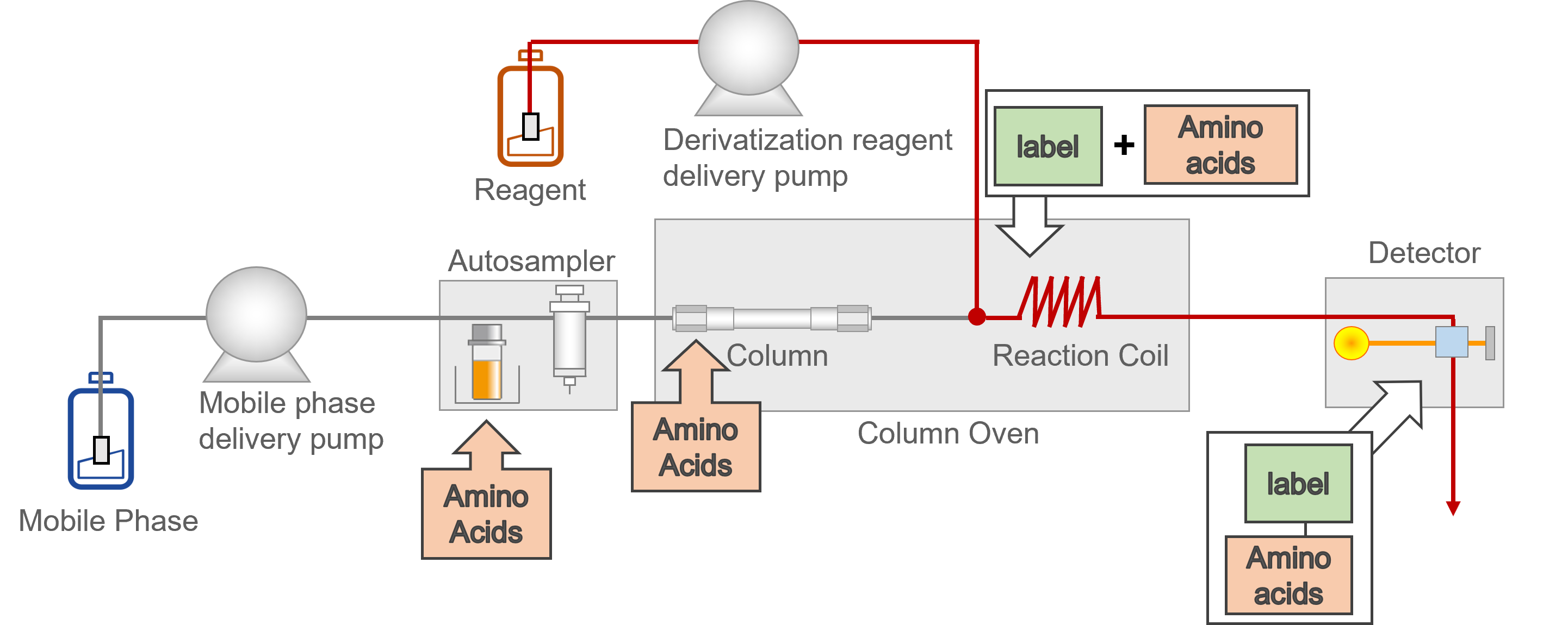 Amino Acids | SHIMADZU EUROPA